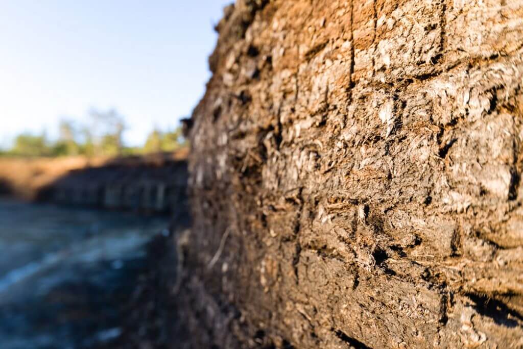 Our Healing Moor - Heilmoorbad Schwanberg